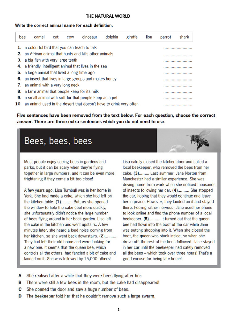 The Natural World | PDF