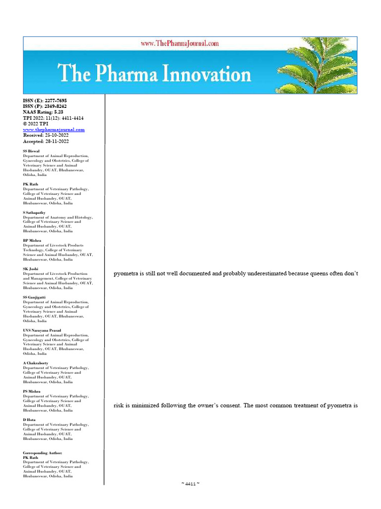 Pyometra in Cat (Surgical Management) | PDF | Anemia | White Blood Cell