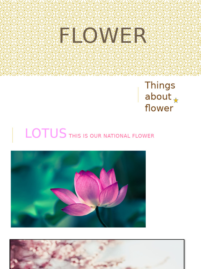 Types and Significance of Flowers | PDF