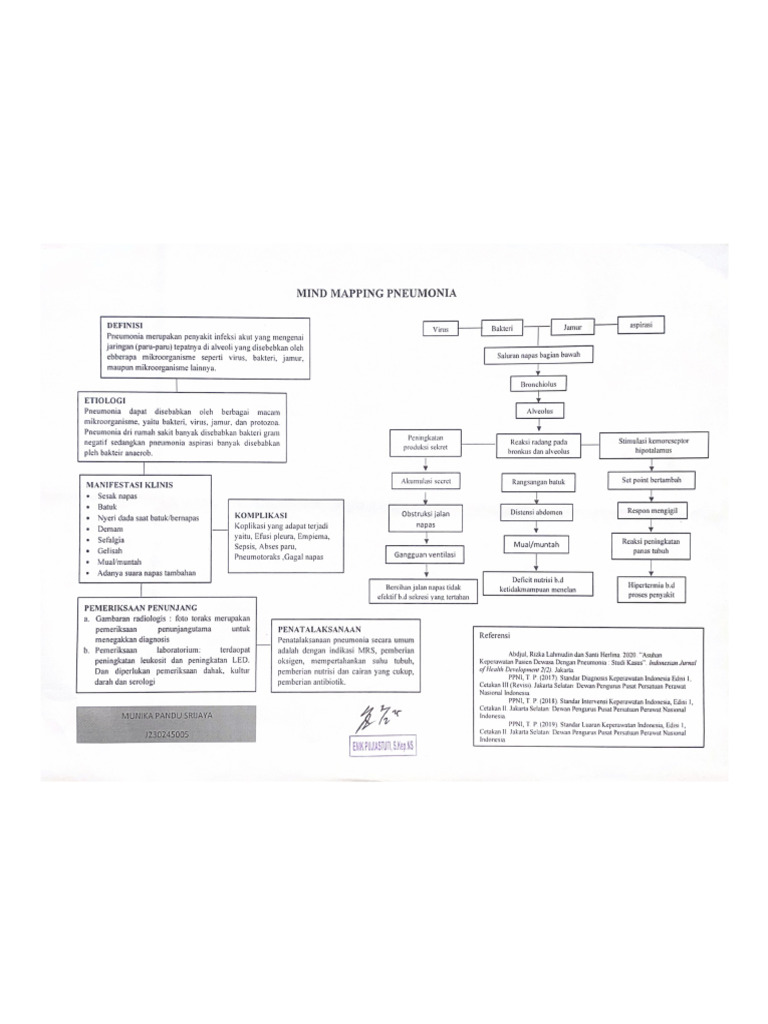Mind Mapping Pneumonia - Munika Pandu Srijaya - j230245005 | PDF