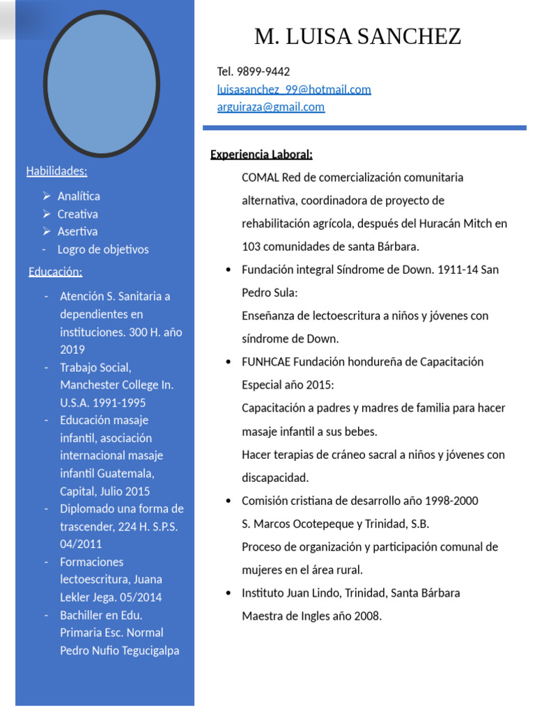 CV Luisa Sanchez | PDF