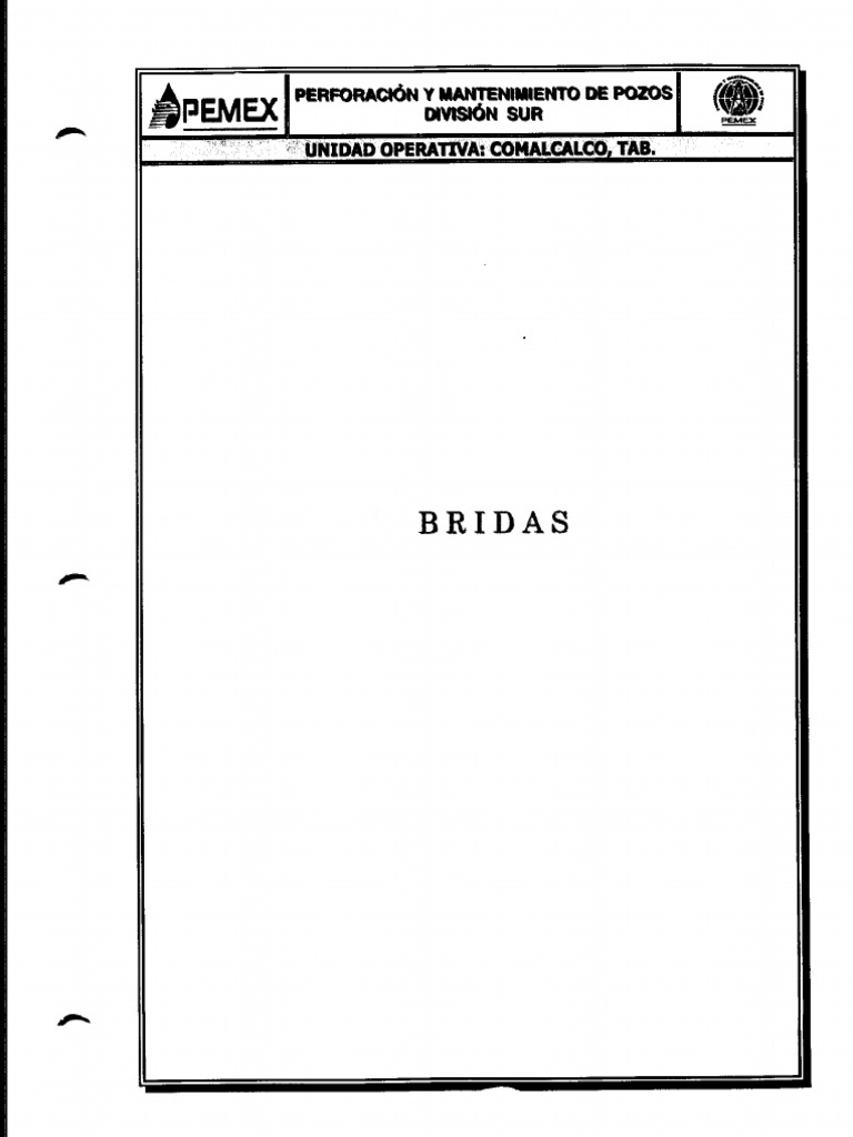 BRIDAS | PDF