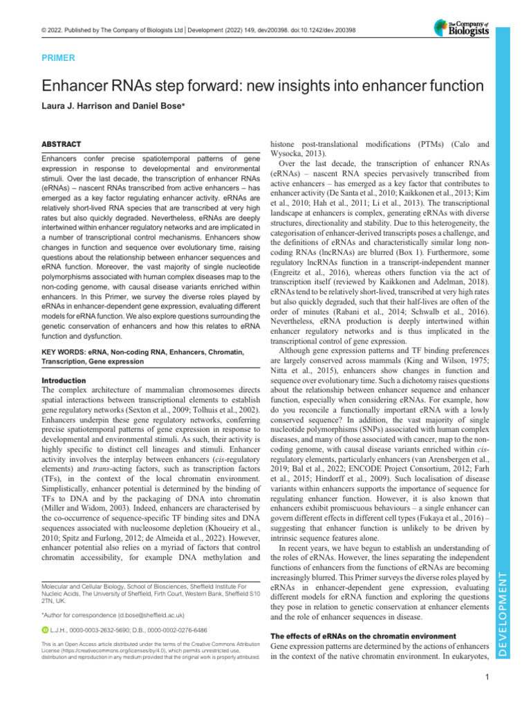 Enhancer - RNAs - Step - Forward - New - Insights Into Enhancer ...