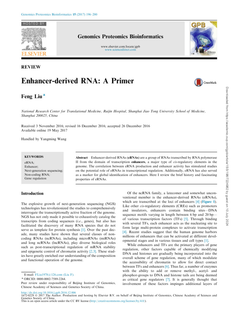Enhancer Derived RNA A Primer | PDF | Gene | Regulation Of Gene Expression