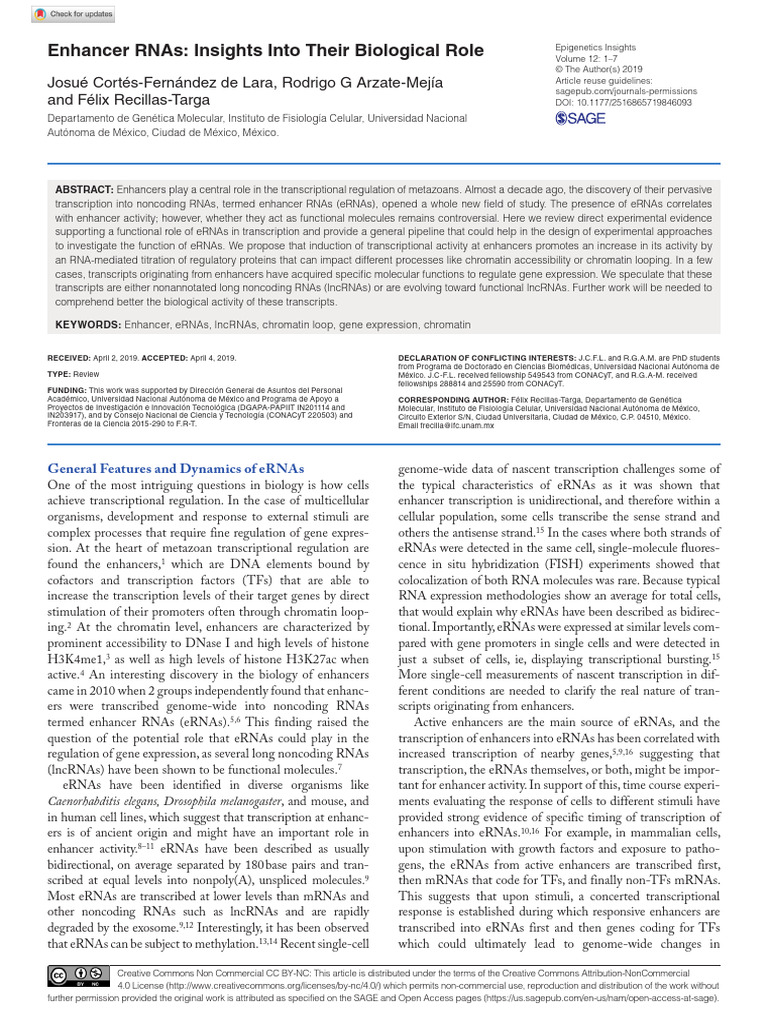 Enhancer RNAs Insights Into Their Biological Role | PDF | Promoter ...