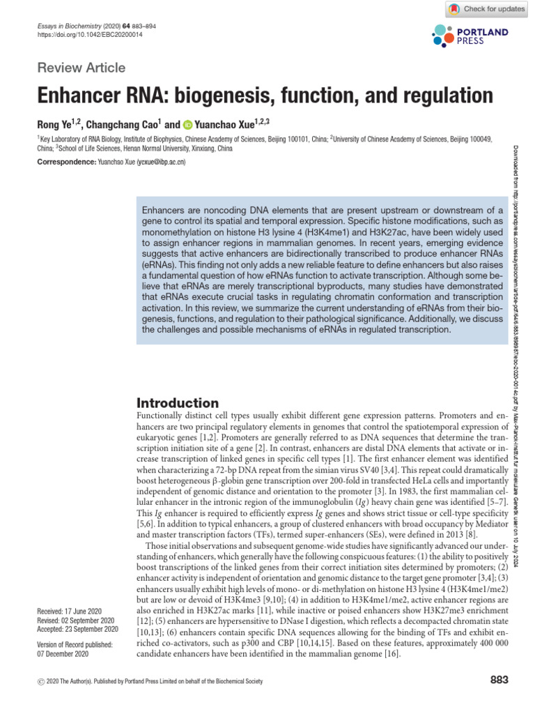 Enhancer_RNA_biogenesis_function_and_regulation | PDF | Promoter ...