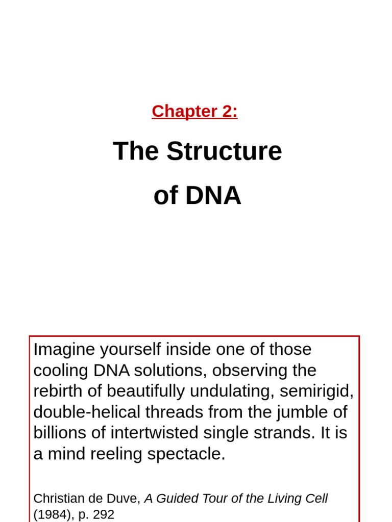 Chapter 2 Dna Structure | PDF | Nucleotides | Directionality (Molecular ...