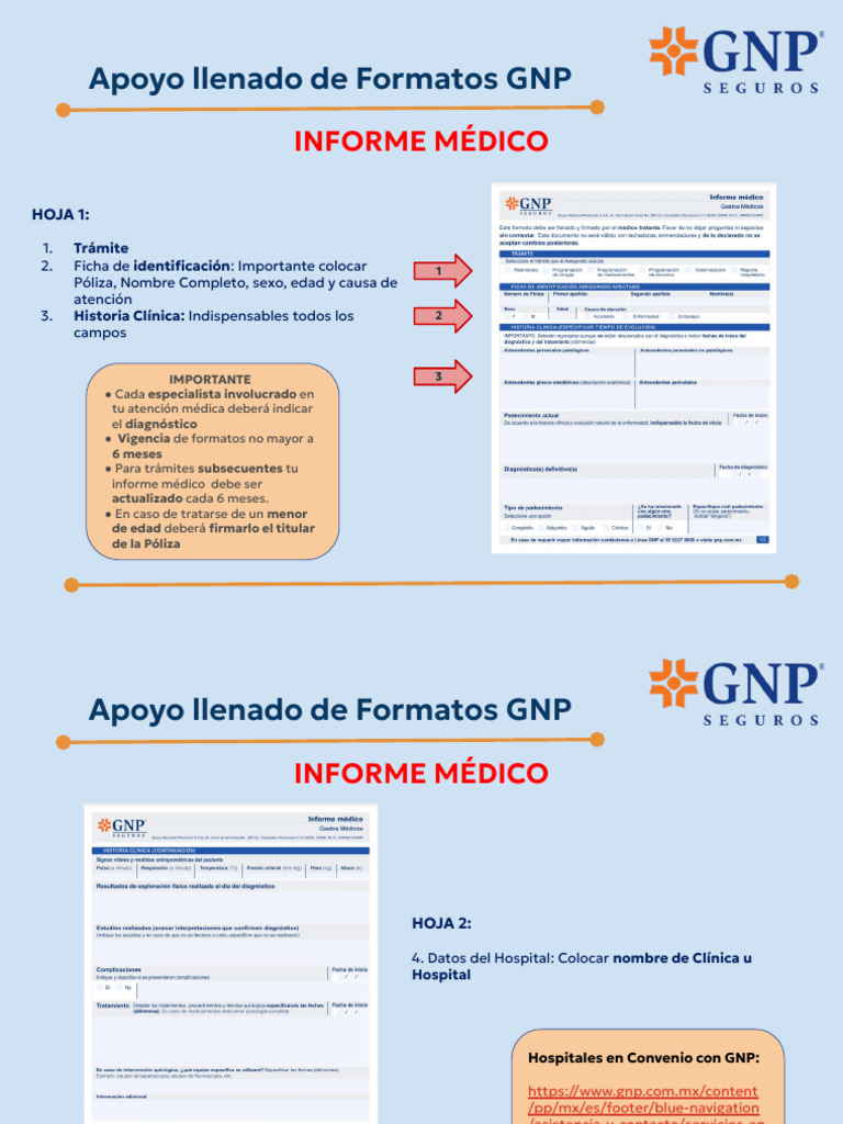 Apoyo CDC Formatos GNP 2024 | PDF | Medicina