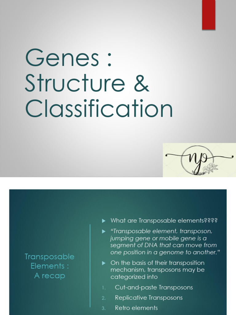 Gene structure & classification | PDF | Transposable Element | Gene