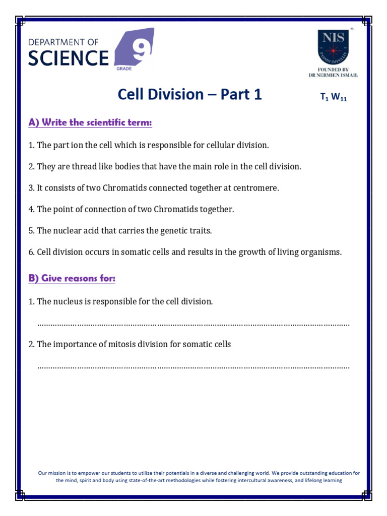 Cell Division - Part 1: A) Write The Scientific Term | PDF