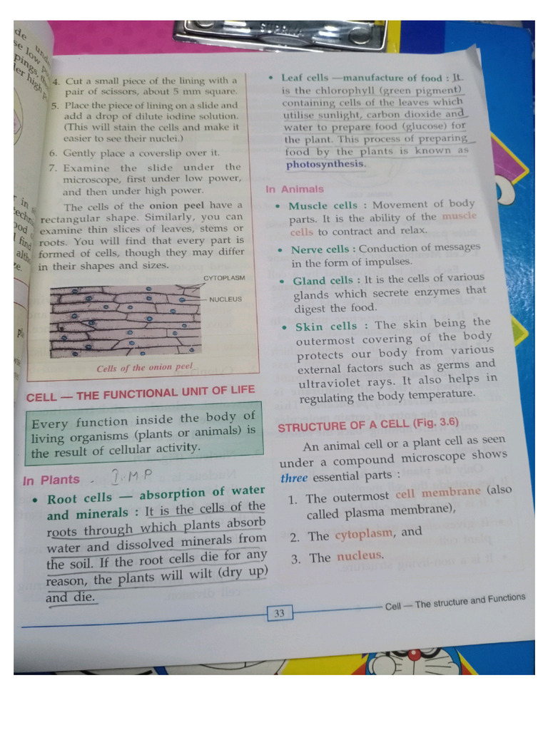 Biology Text Book | PDF