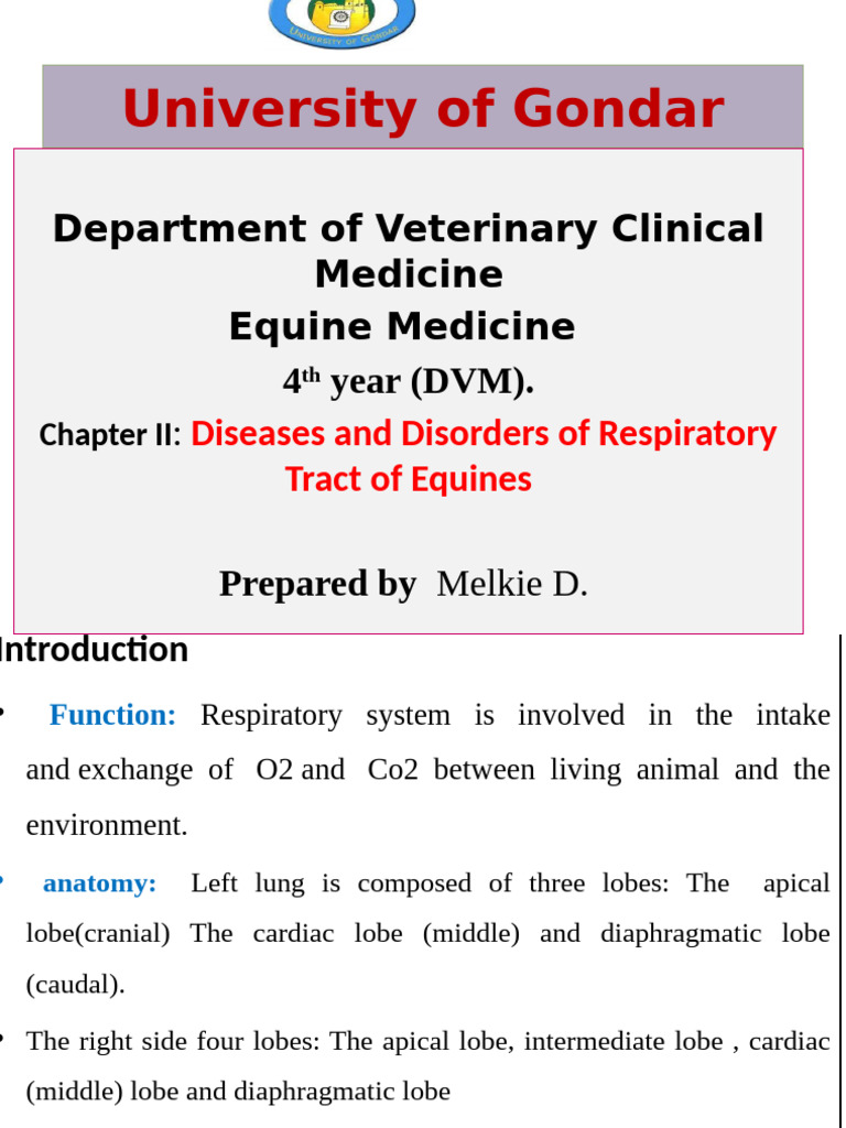 Equine Res System 3 | PDF | Pneumonia | Influenza