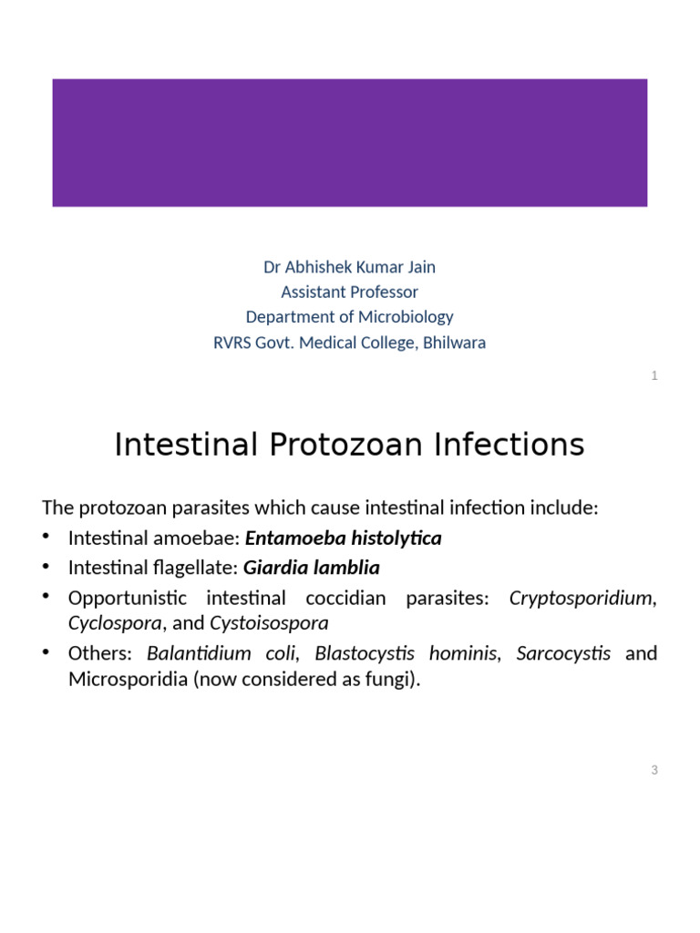 Intestinal Protozoan Infections | PDF | Microbiology | Medical Specialties
