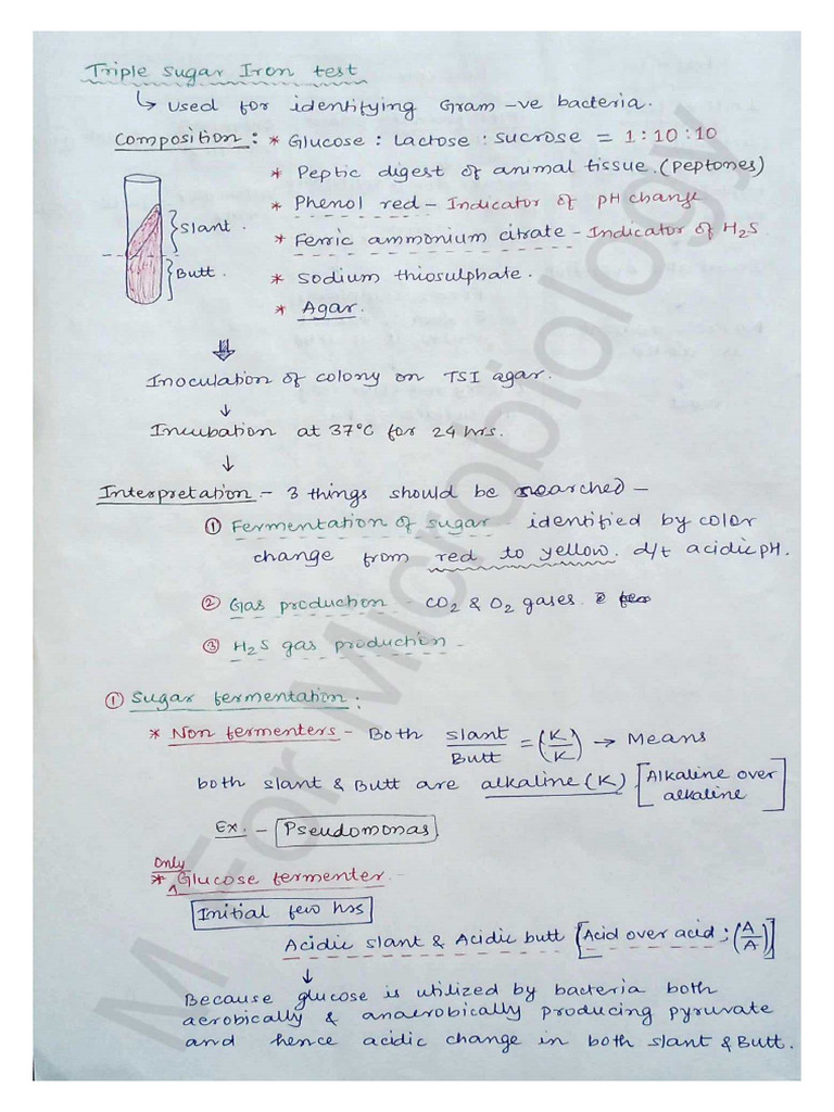 Triple sugar iron test | PDF