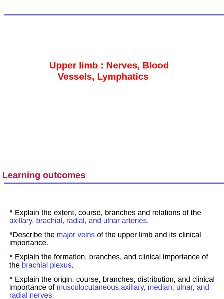 Lecture-12 Upper limb-Nerves, vessels, Lymphatics | PDF | Arm | Hand