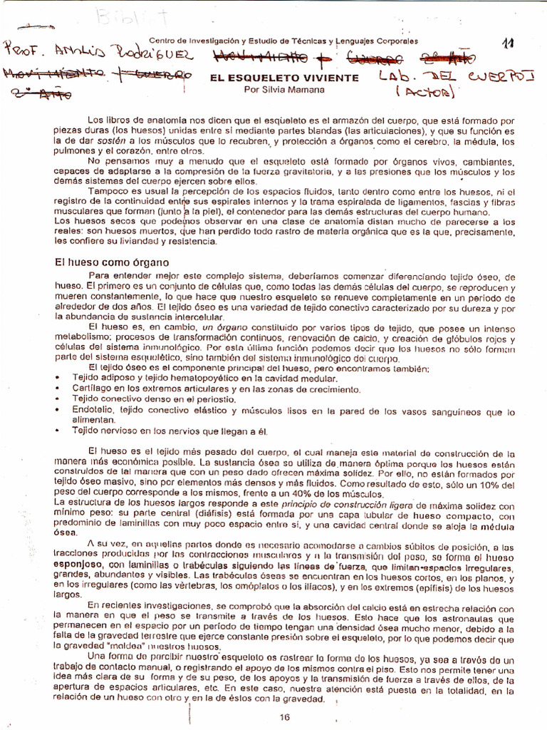 Mamana, Silvia. El Esqueleto Viviente | PDF