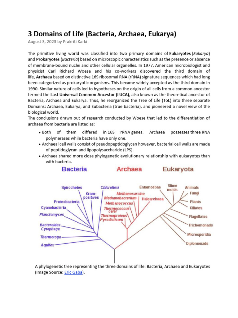 Three Domains of Life Explained | PDF | Archaea | Eukaryotes