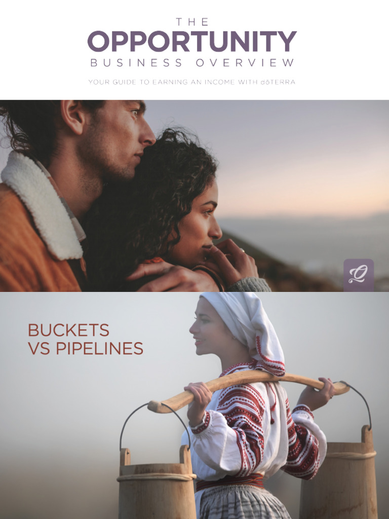 Business Overview | PDF