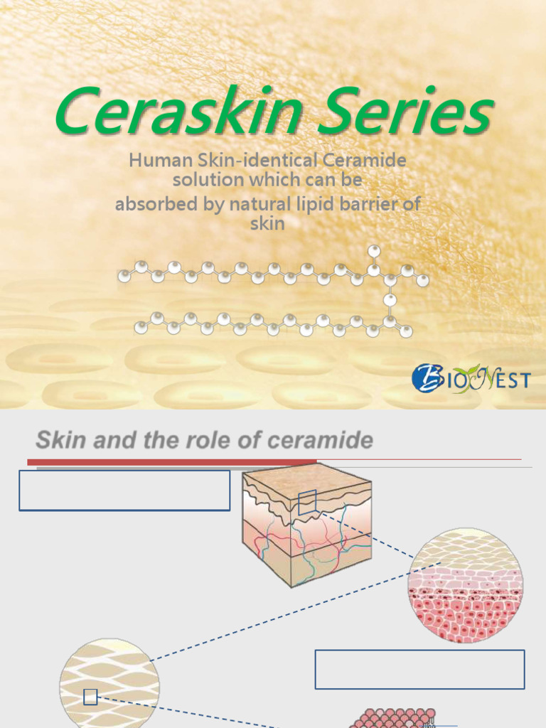 Ceraskin Presentation | PDF | Epidermis | Skin