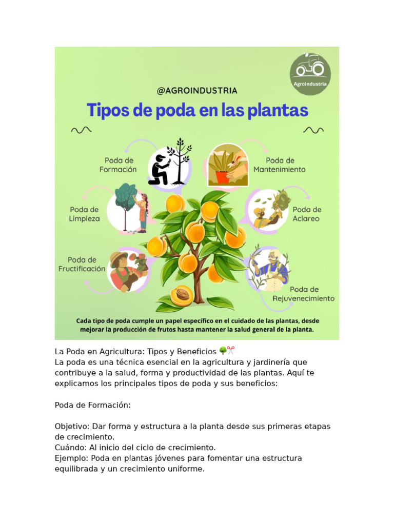 La Poda en Agricultura | PDF