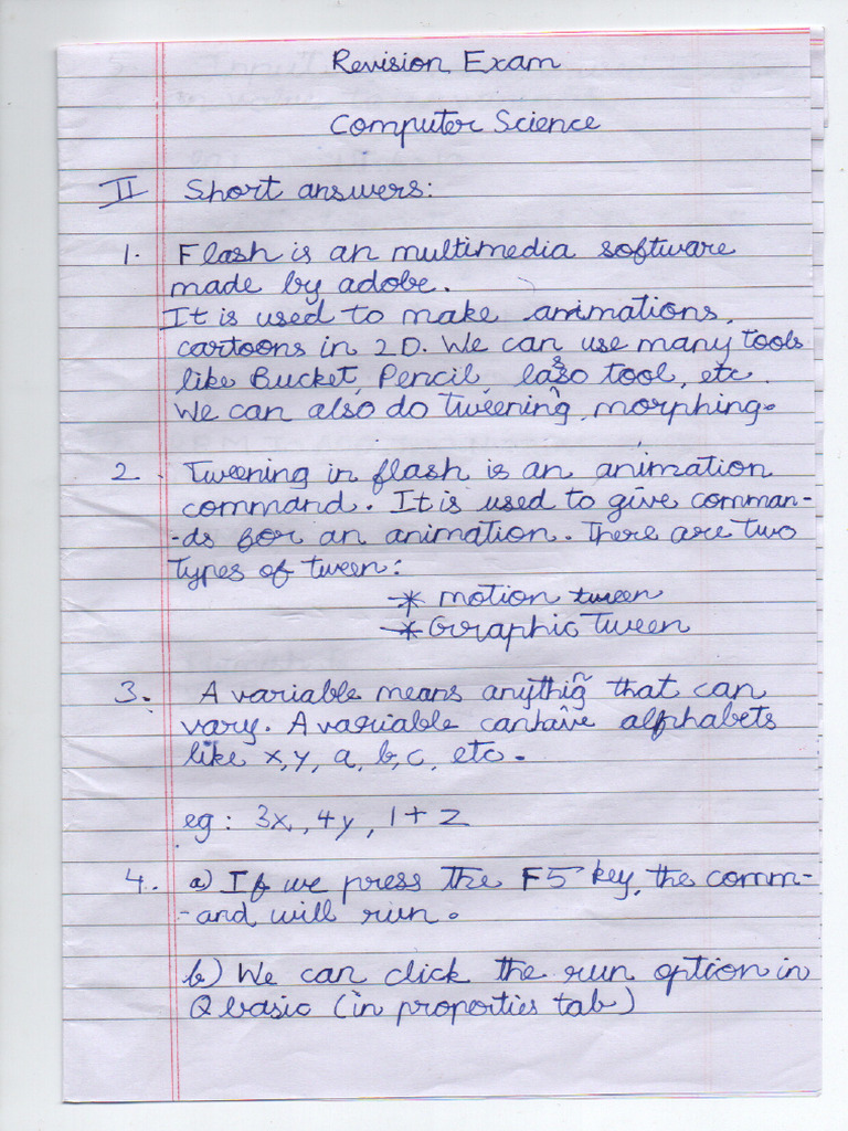 Computer Revision | PDF