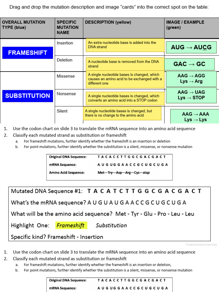 RAMSEY BOUHIYATE - Mutations Slides (1) | PDF | Point Mutation | Genetic Code