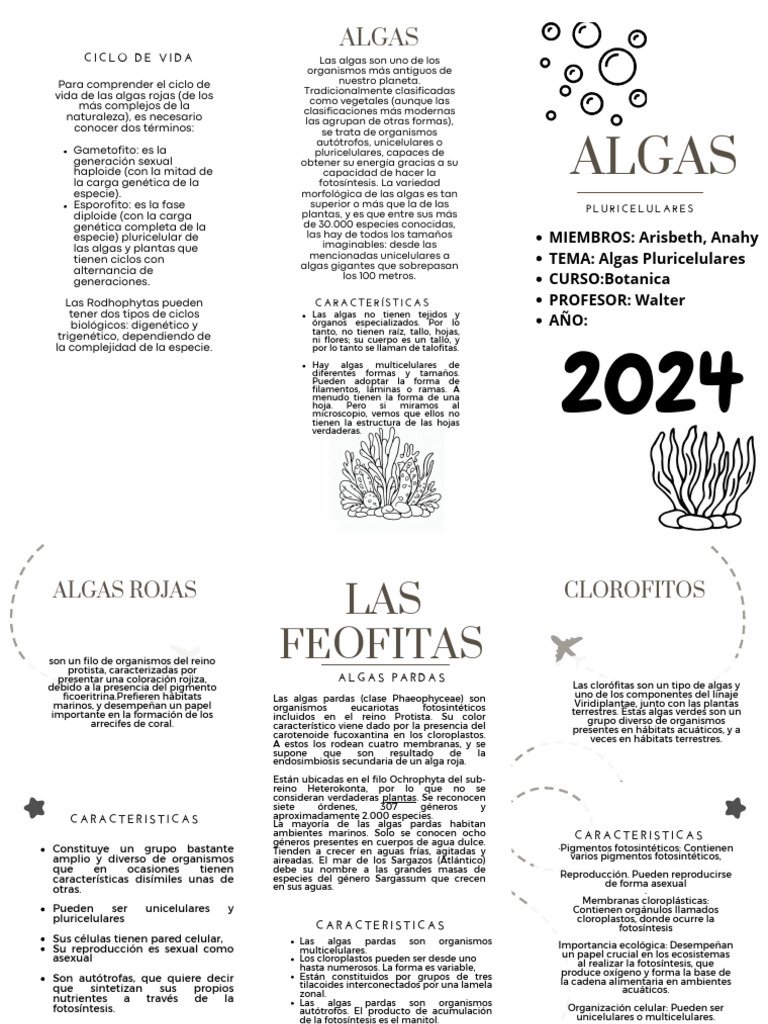 Algas | PDF | Algas | Plantas