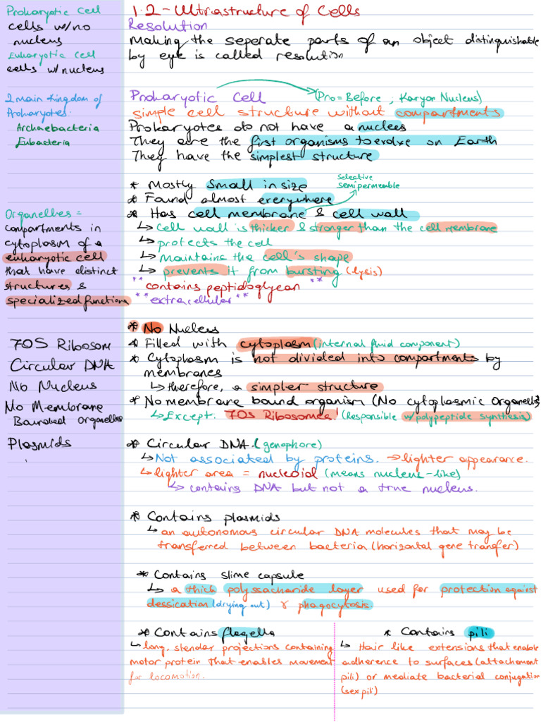 Unit 1 Study Note Part 3 | PDF | Cell (Biology) | Prokaryote