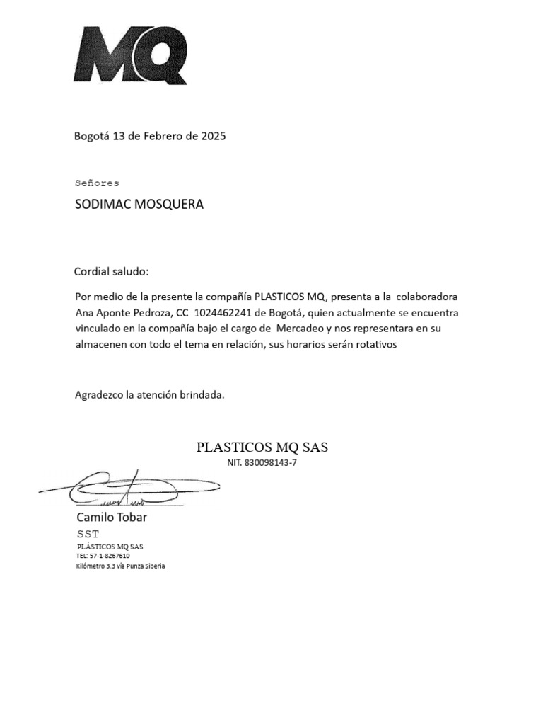 Presentación de Ana Aponte en SODIMAC | PDF