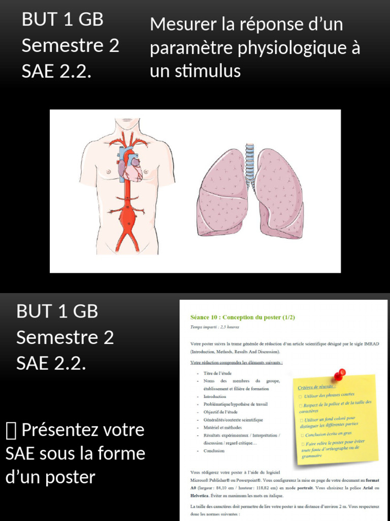 Cours Poster 2 | PDF