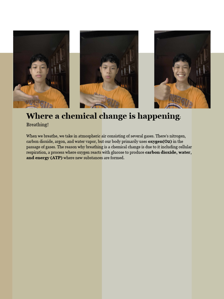 Chemical Change | PDF