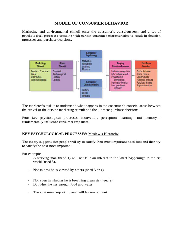 Consumer Behaviour Models | PDF