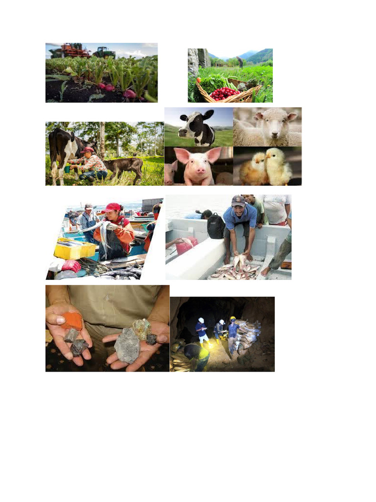 Atras Papeleta | PDF