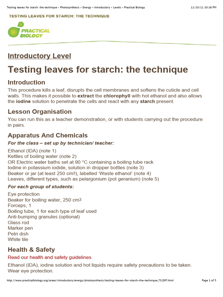 Testing Leaves For Starch | PDF | Photosynthesis | Leaf