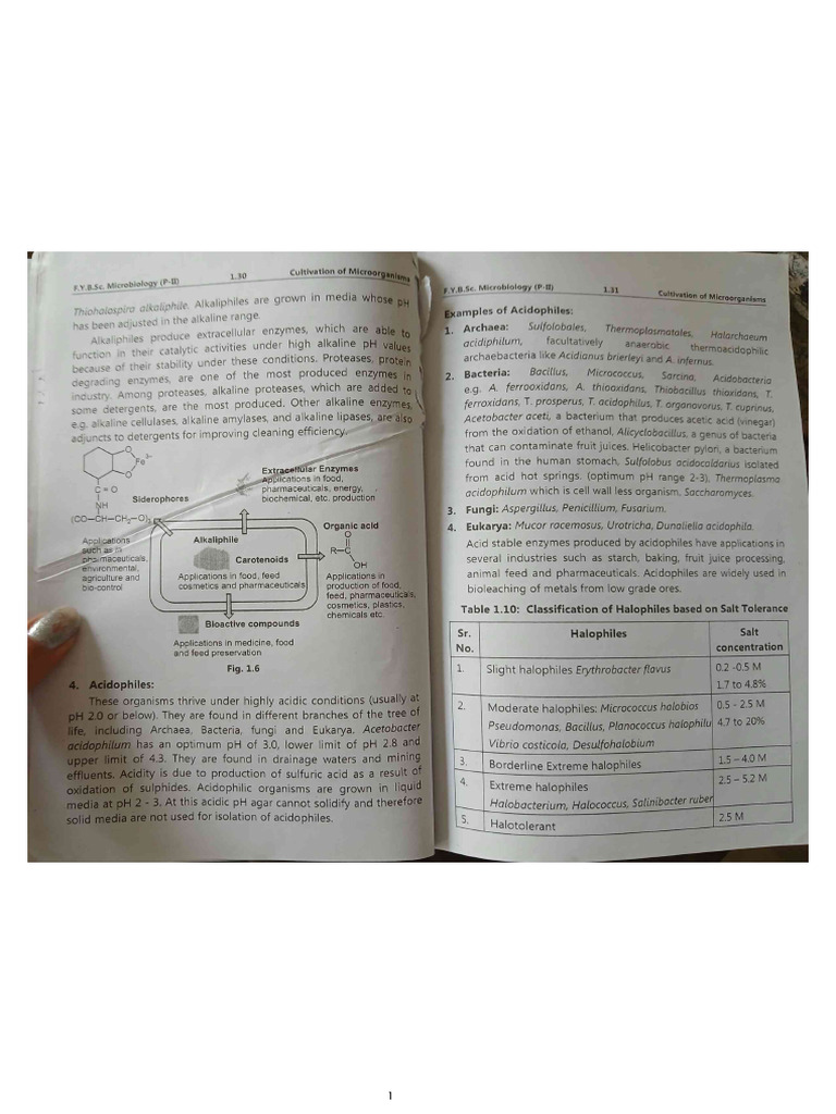 Micro book | PDF