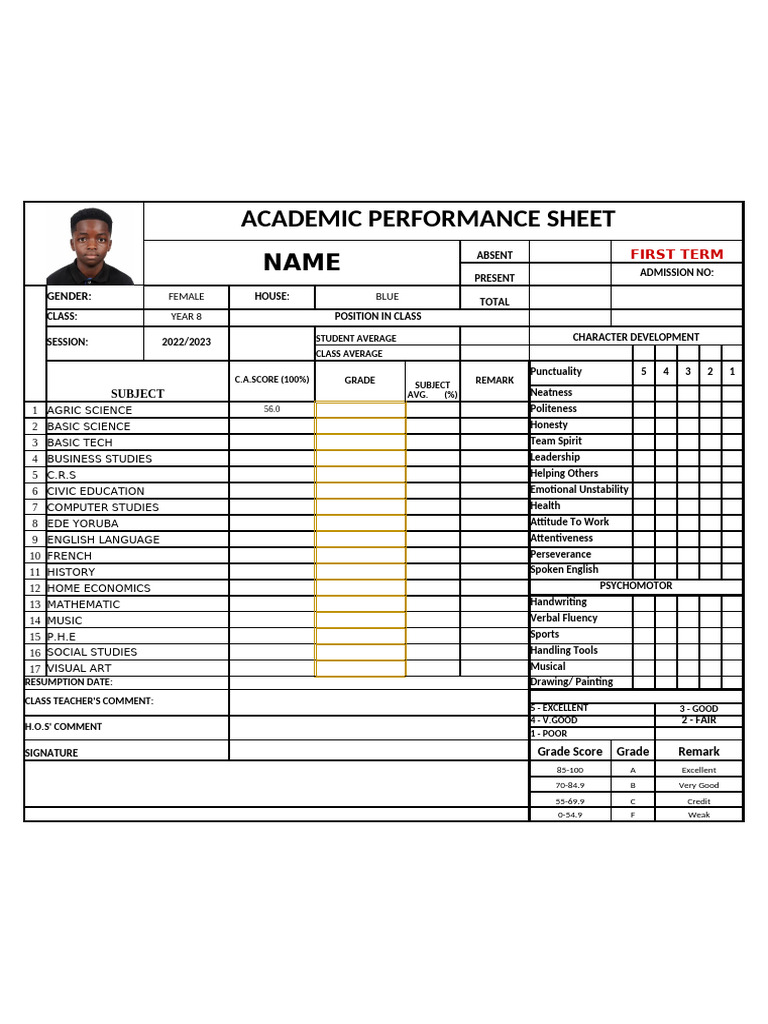 Leo Simeka Osiemo Excel Formatting Assignment Submission | PDF ...