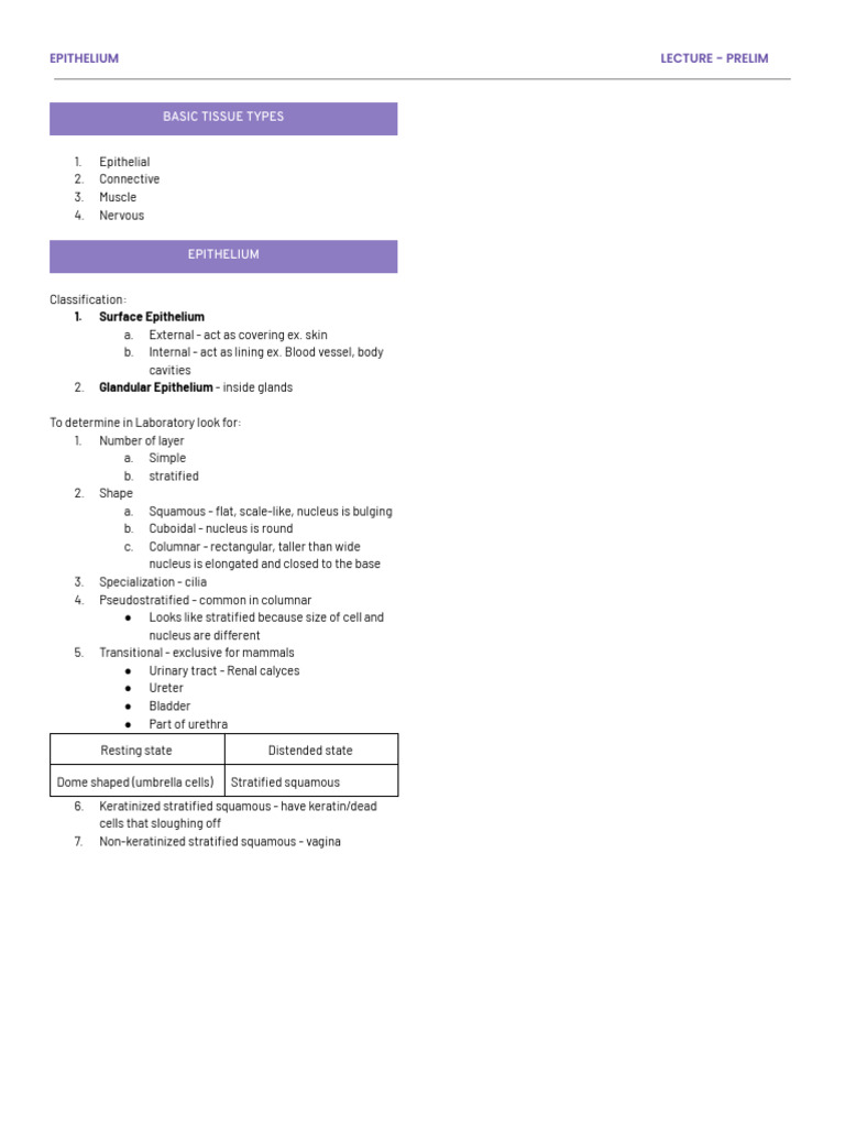 HISTO Lab - Epithelium | PDF