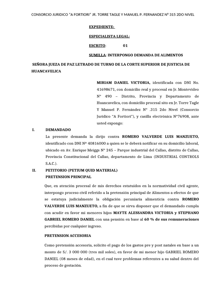 Demanda Alimentos Miriam Daniel | PDF | Pensión alimenticia | Demanda ...
