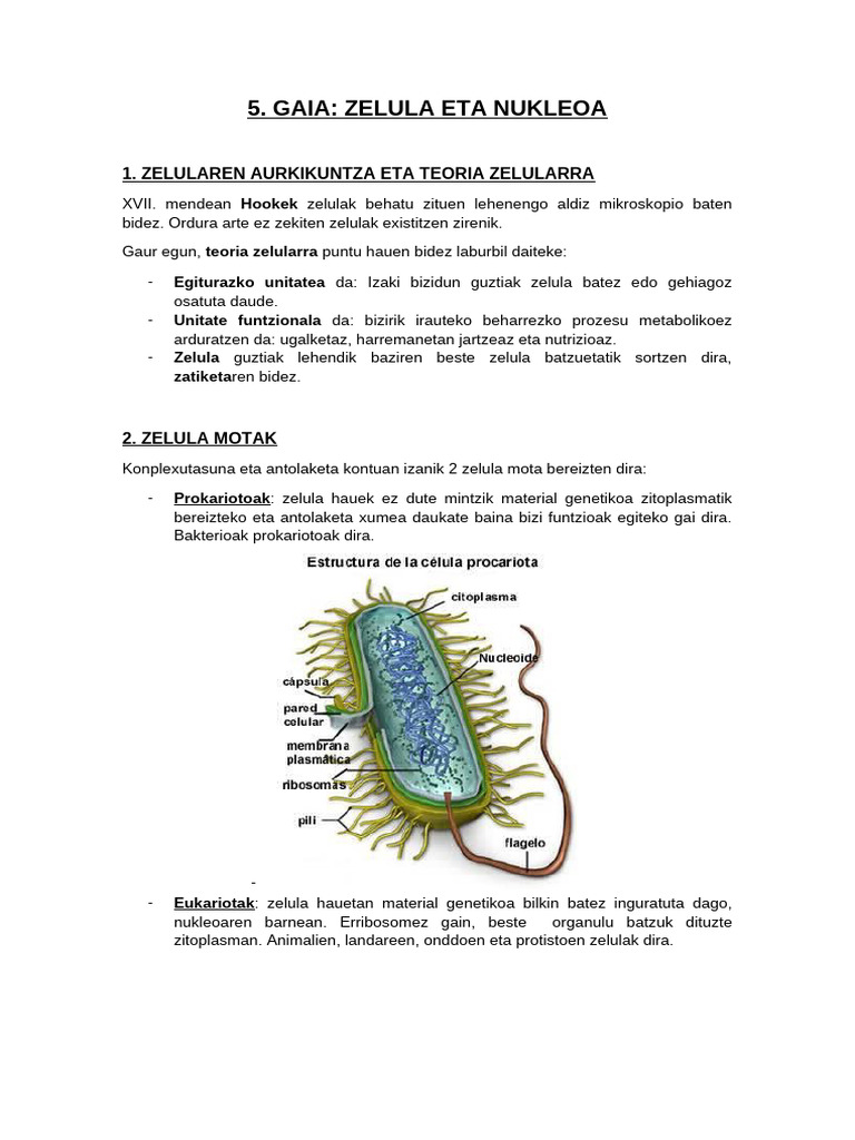 Gaia. Zelula Eta Nukleoa | PDF