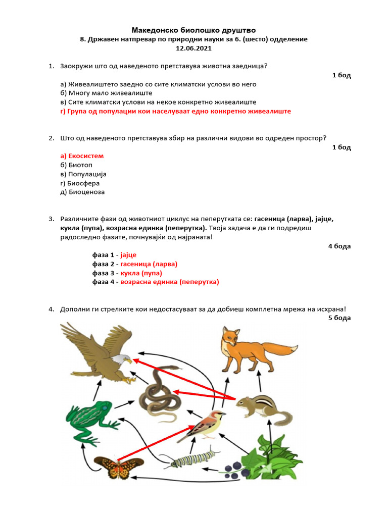 6 MK Celosen KLUC 2021 | PDF