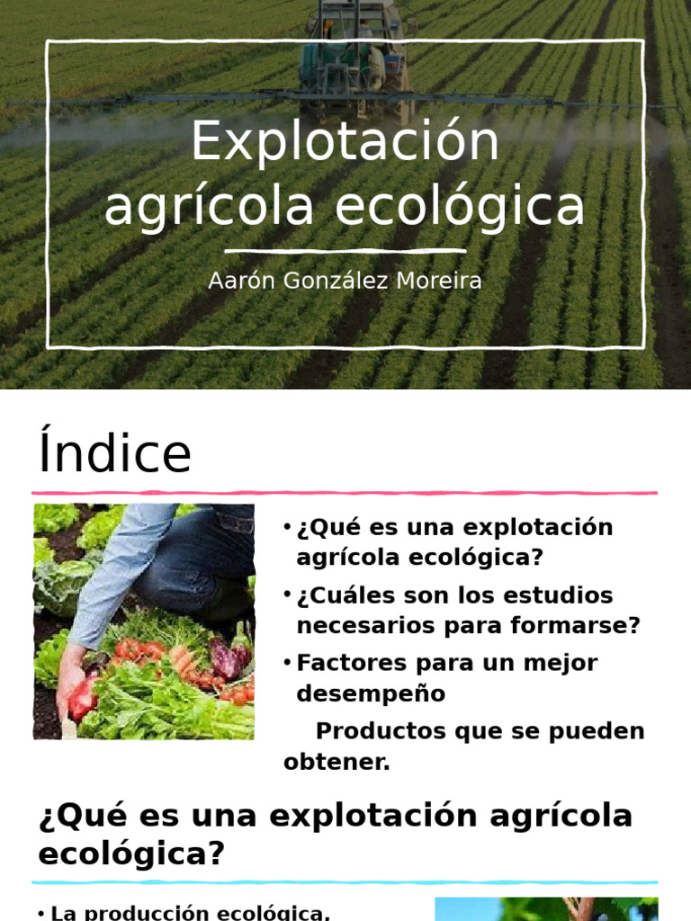 Guía de Explotación Agrícola Ecológica | PDF | Agricultura | Agroecología