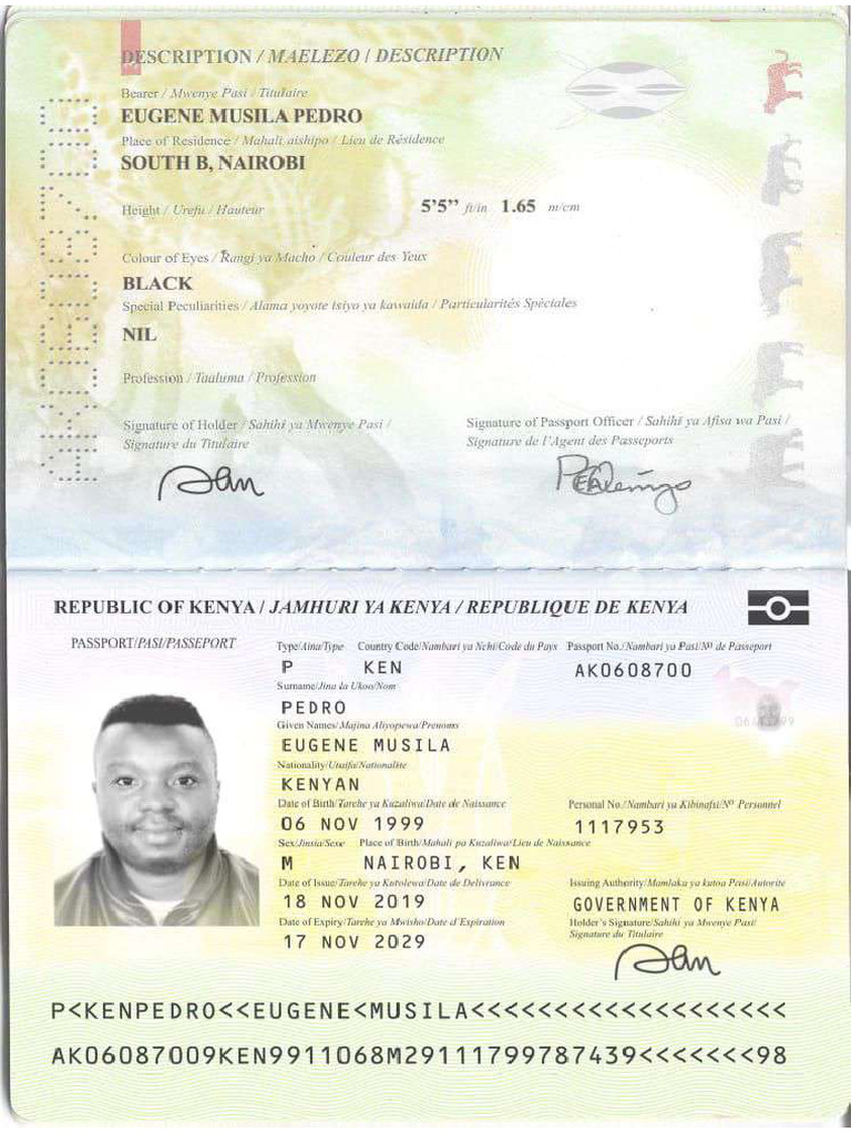 Passport | PDF