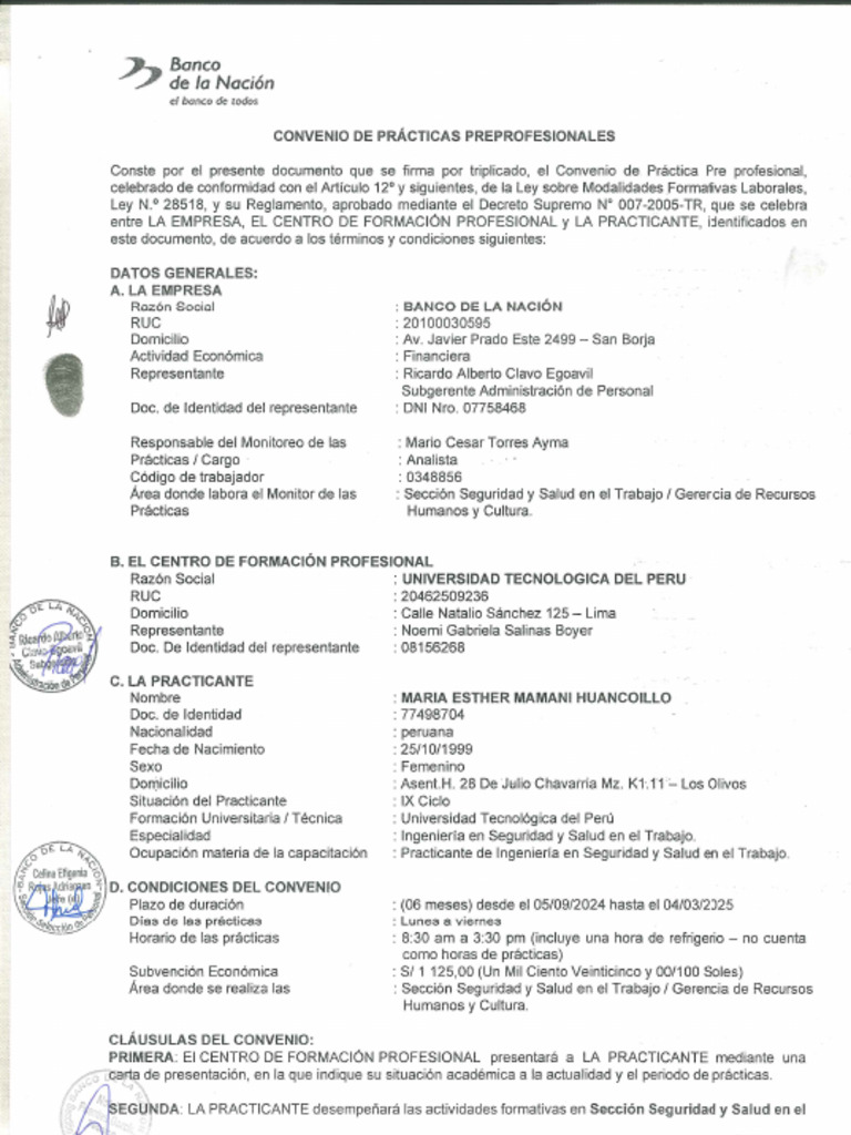 Convenio y Plan - Maria Mamani | PDF