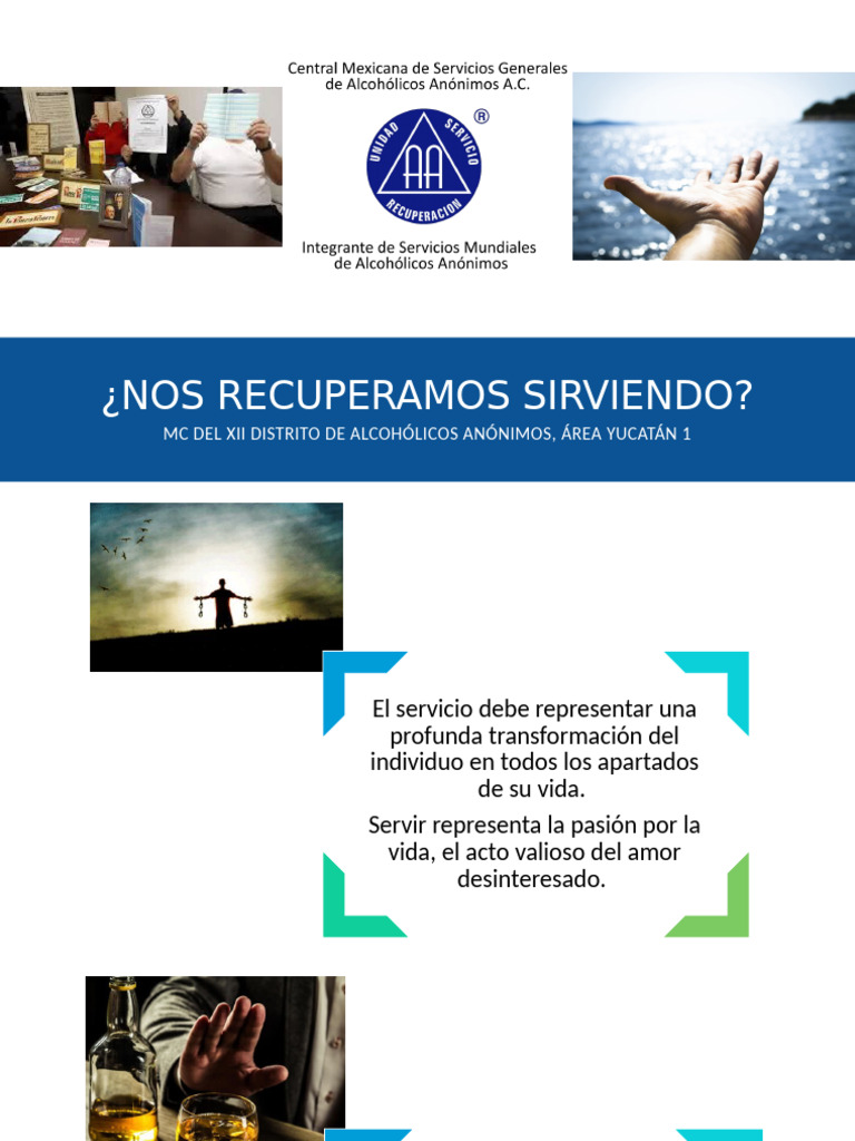 Servicio y Recuperación en Alcohólicos Anónimos | PDF