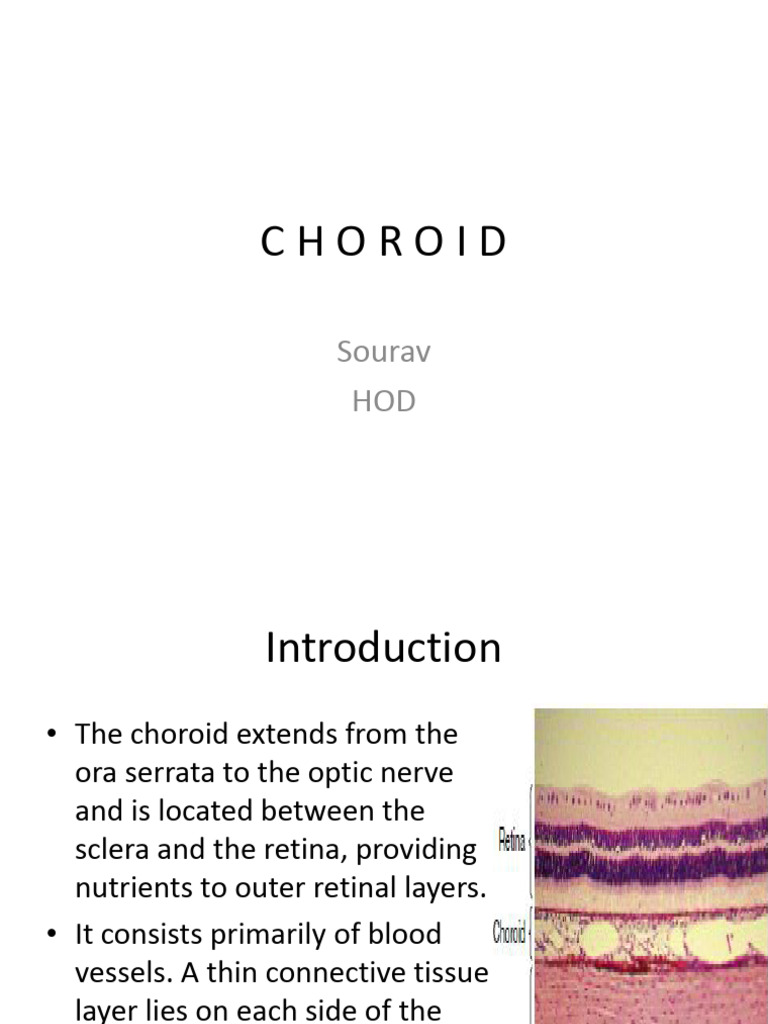 Choroid Anatomy and Layer Structure | PDF | Anatomy | Morphology (Biology)