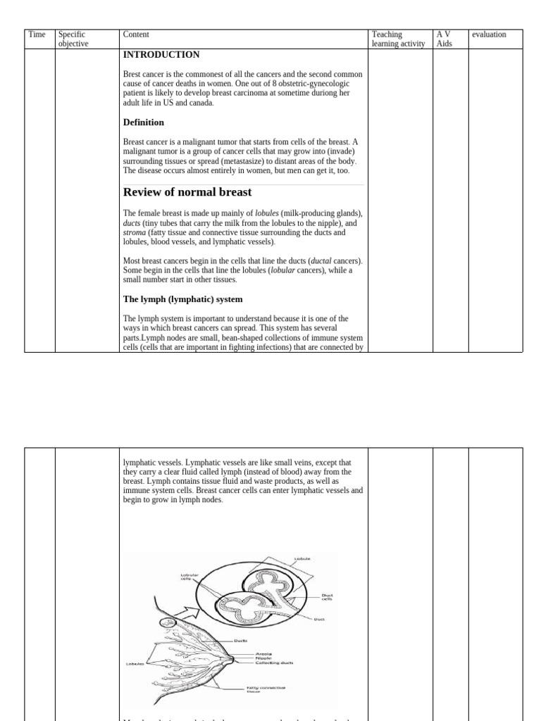 lesson plan | PDF | Breast Cancer | Cancer