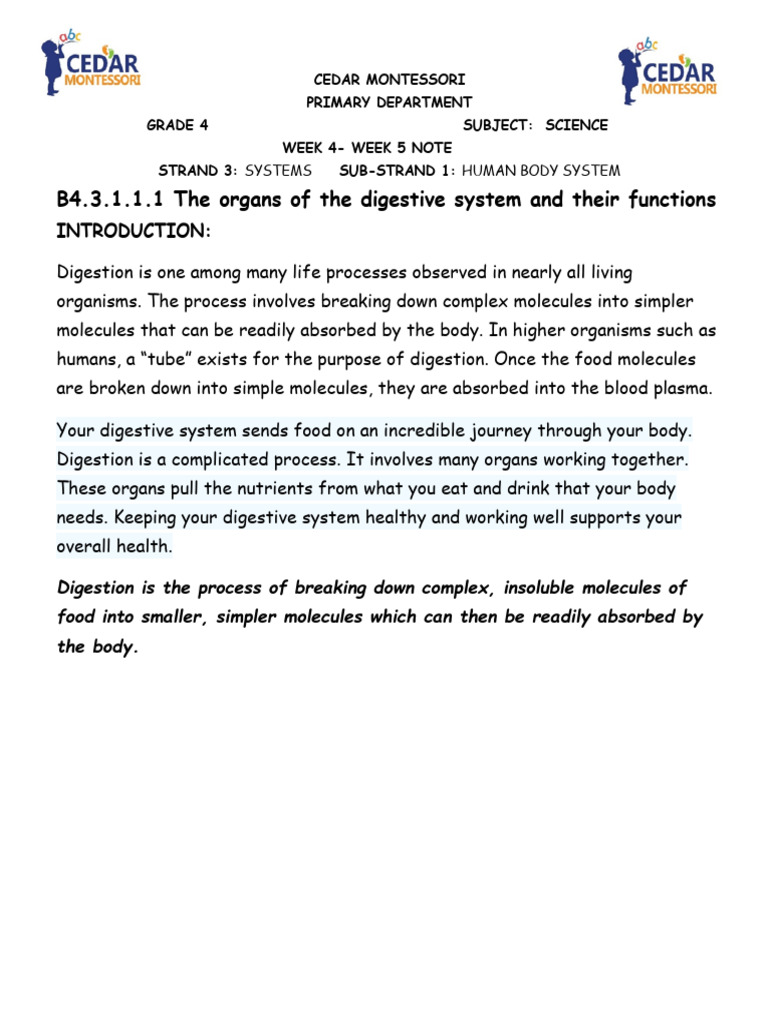 Understanding the Human Digestive System | PDF | Digestion | Human ...