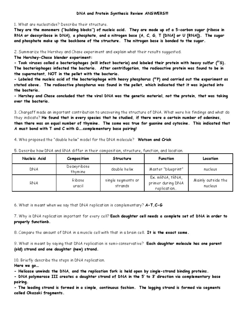 DNA and Protein Synthesis Overview | PDF | Dna Replication | Dna