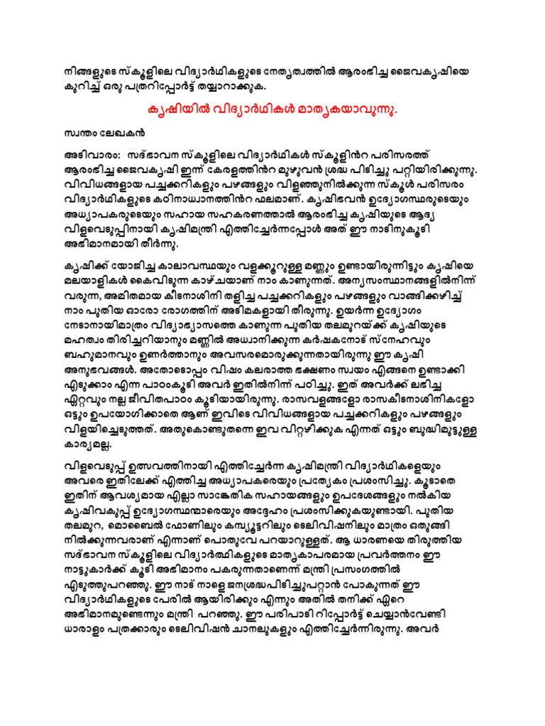 GR9 - News Report Sample | PDF