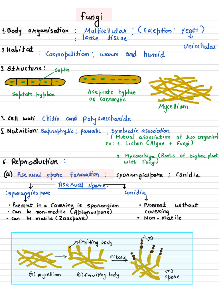 Biological Classification - Handwritten Notes - Fighter NEET 2025 PDF ...